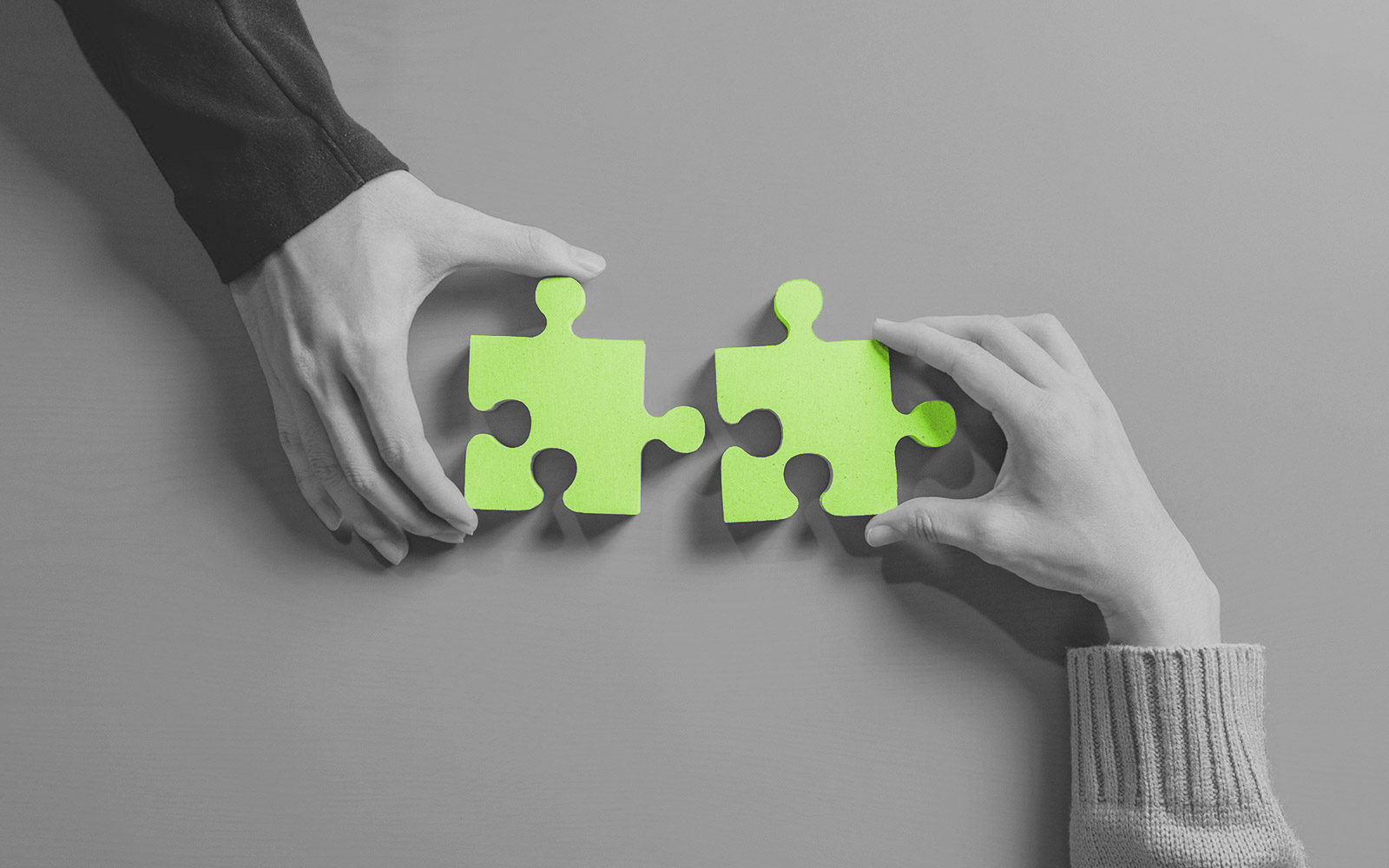 True Business Global